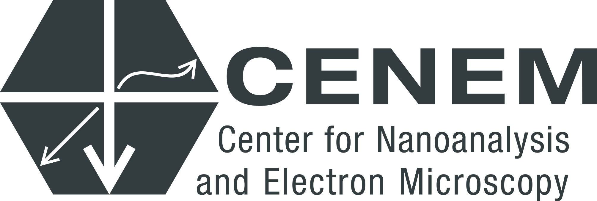 Center for Nanoanalysis and Electron Microscopy